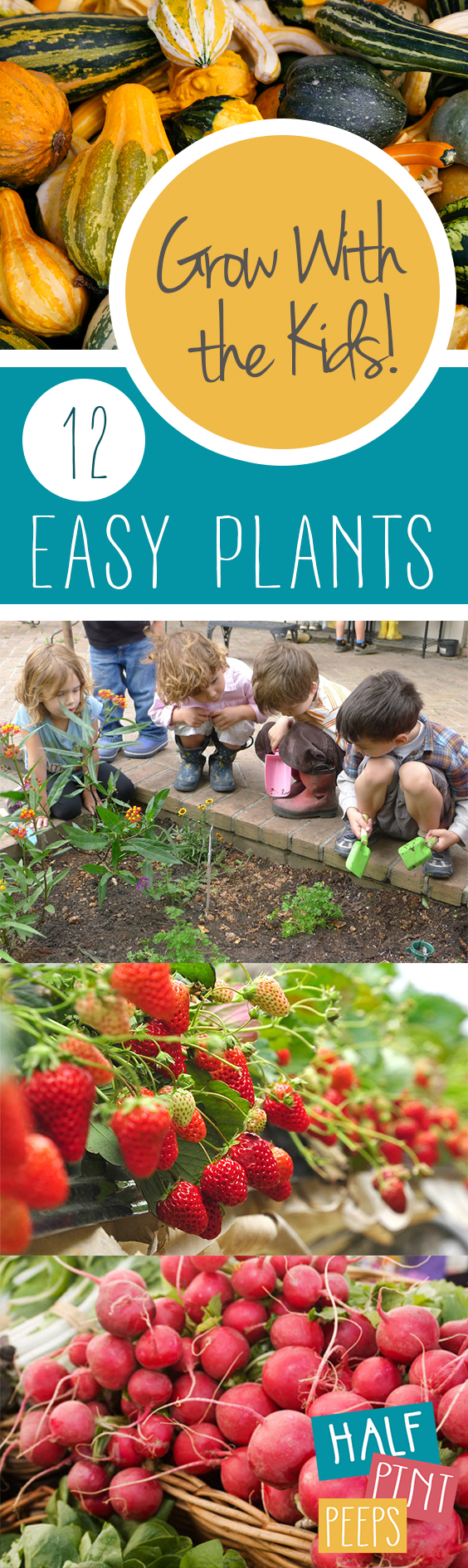 Grow With the Kids! 12 Easy Plants | Half Pint Peeps