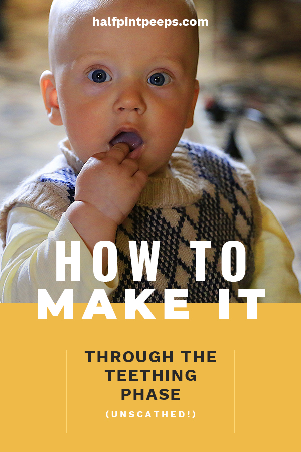How to Make It Through the Teething Phase (Unscathed!) | Half Pint Peeps